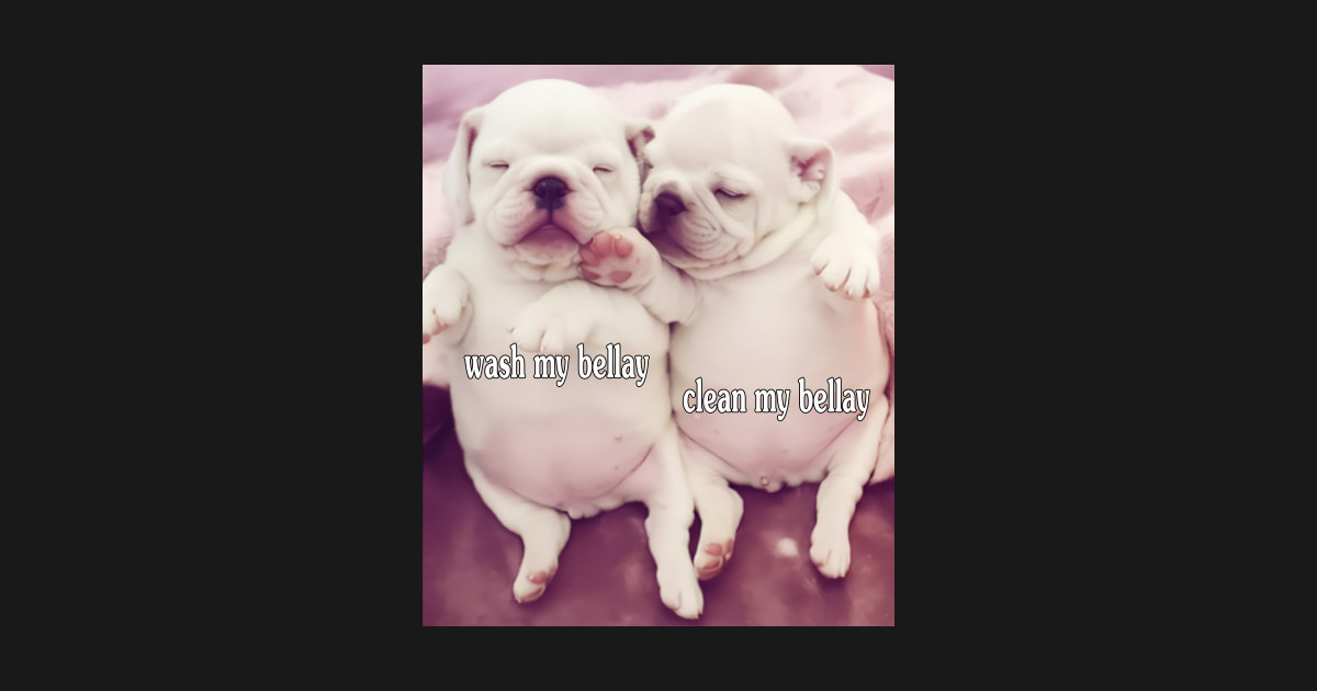 Pibble Meme Wash My Belly Funny Two Pibbles Long Sleeve - Pibble Meme ...