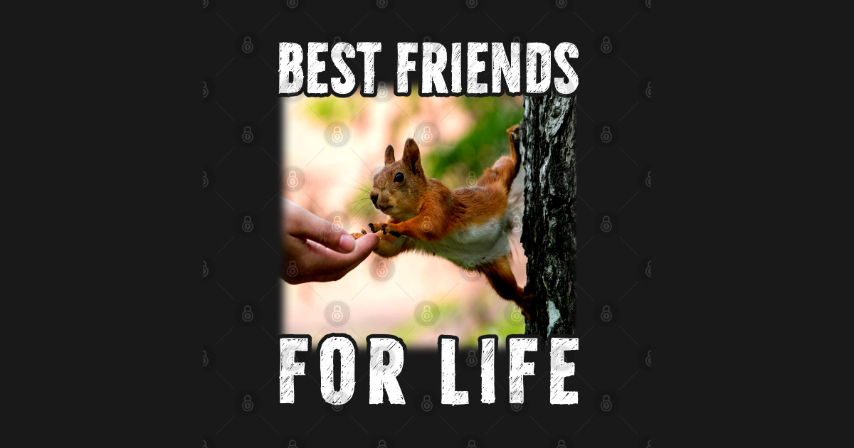 Squirrel Best Friend For Life - Squirrel Best Friend For Life - T-Shirt ...
