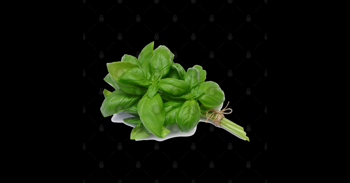 Basil - Basil - Sticker | TeePublic