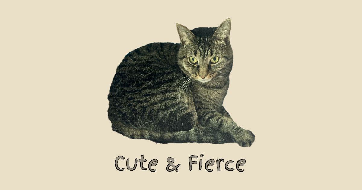 Cute and Fierce - Kitty - T-Shirt | TeePublic