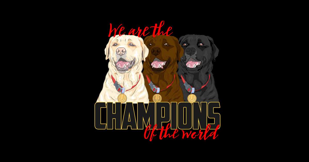 Labrador Champions! Especially for Labrador Retriever owners ...