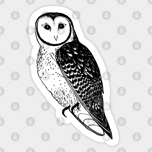Tasmanian Masked Owl - Tasmanian Masked Owl - Sticker | TeePublic