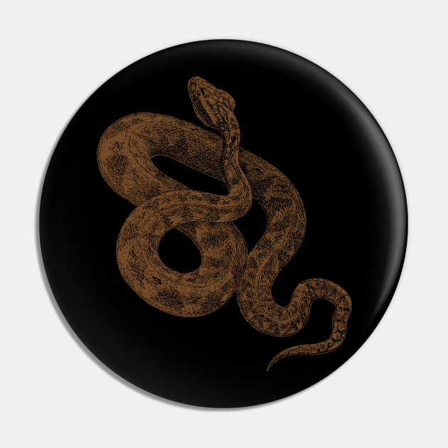 Vintage Snake Design, Love Snakes, Reptile Fan, Reptile House, Copper ...