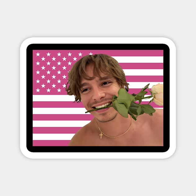 Nicholas chavez with rose pink american flag - Nicholas Chavez - Magnet ...