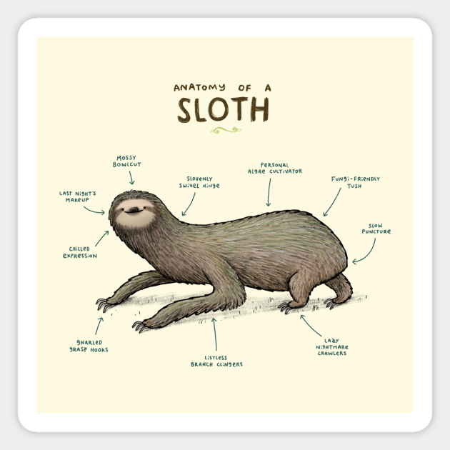 Anatomy of a Sloth - Sloth - Sticker | TeePublic