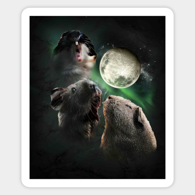 3 Guinea Pig Moon, Wolf Wolves Howling - 3 Guinea Pig Moon Wolf Wolves ...