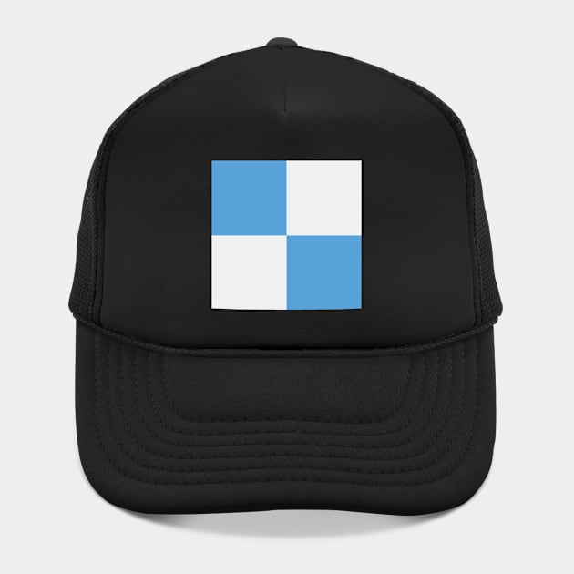 Co. Dublin GAA Blue and White Checkered Fan Flag - Coybib - Hat | TeePublic