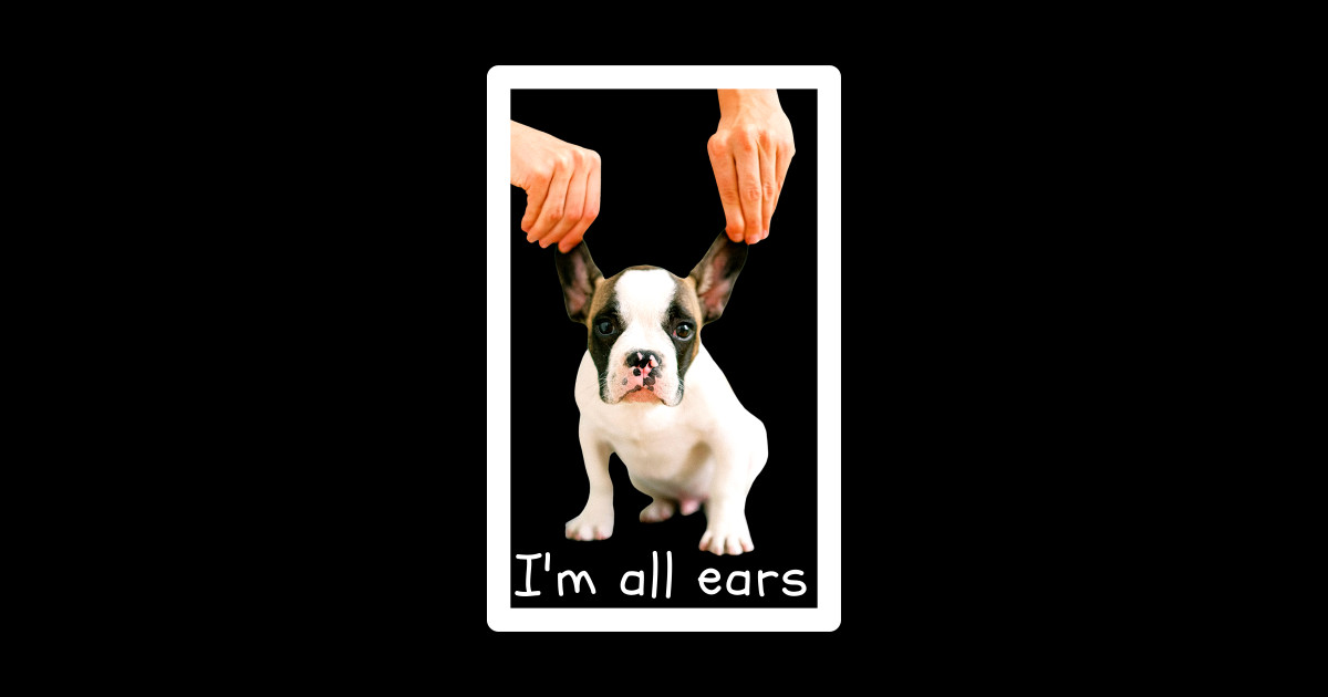 I'm all ears - Dog Lover - Sticker | TeePublic