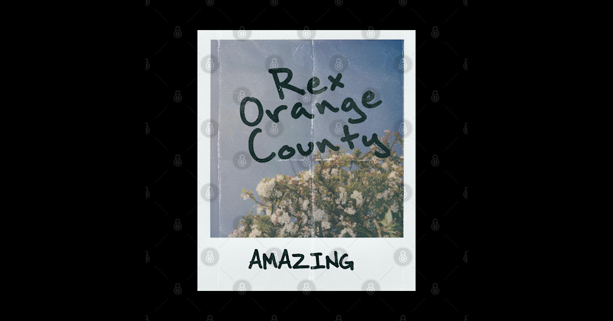 Rex Orange County Polaroid Photo - Rex Orange County - Sticker | TeePublic