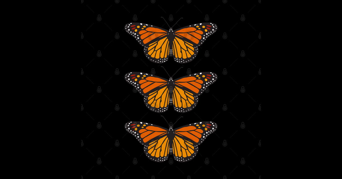 Monarch butterflies - Monarch Butterflies - Sticker | TeePublic