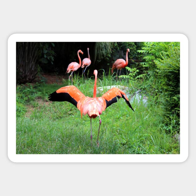 Wait For Me - Flamingo - Sticker | TeePublic