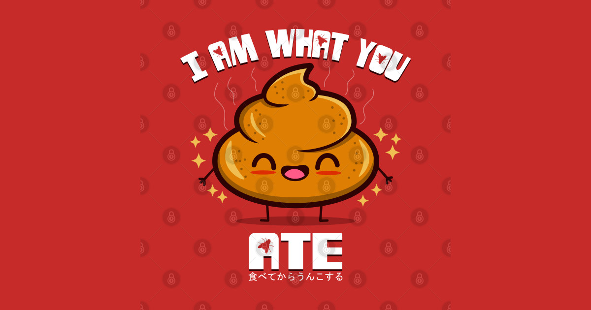 Cute Funny Kawaii Poop Poo Funny Saying Japanese Post Holiday Feast ...