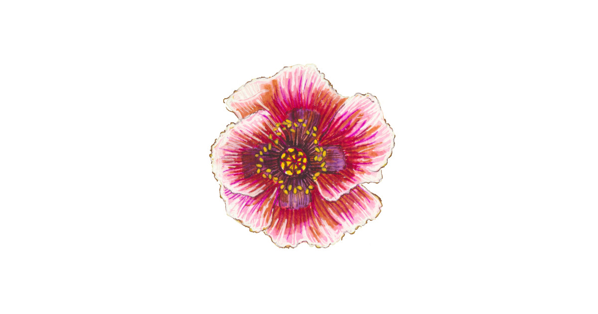 Poppy sketch 1 - Poppy - T-Shirt | TeePublic