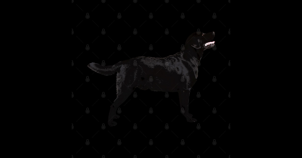 Beautiful Black Labrador Retriever Stacked - Black - Sticker | TeePublic