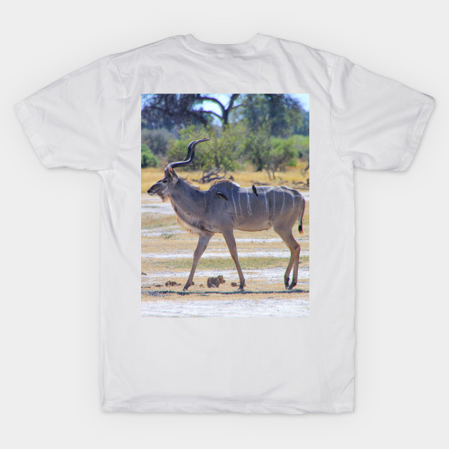 Male Kudu Antelope with Oxpecker Birds - Antelope - T-Shirt | TeePublic