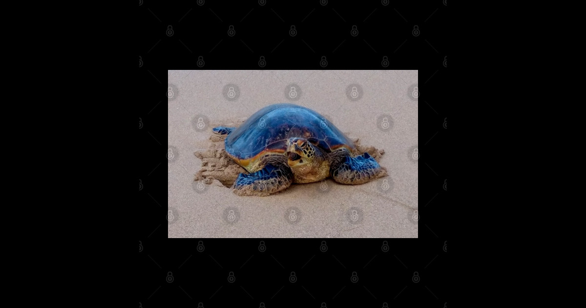Yawning Sea Turtle - Sea Turtle - Sticker | TeePublic