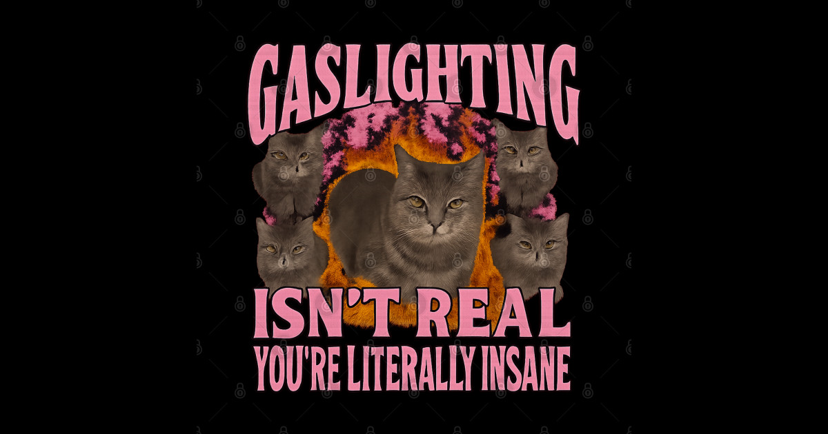 Gaslighting Isn't Real Funny Cat Meme Bootleg Graphic T-Shirt ...