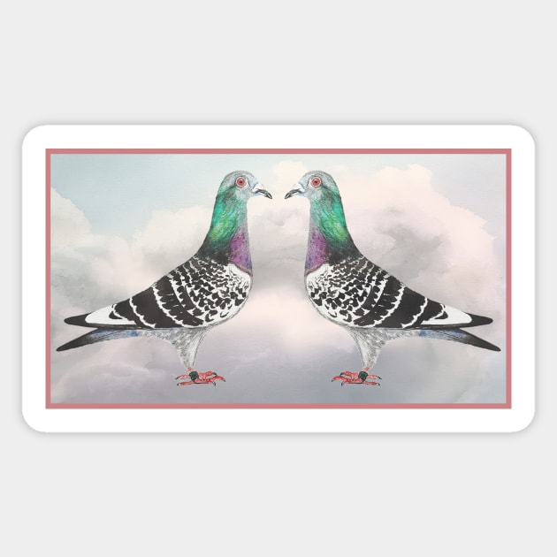 Pigeon Fancier racing Art - Pigeon - Sticker | TeePublic