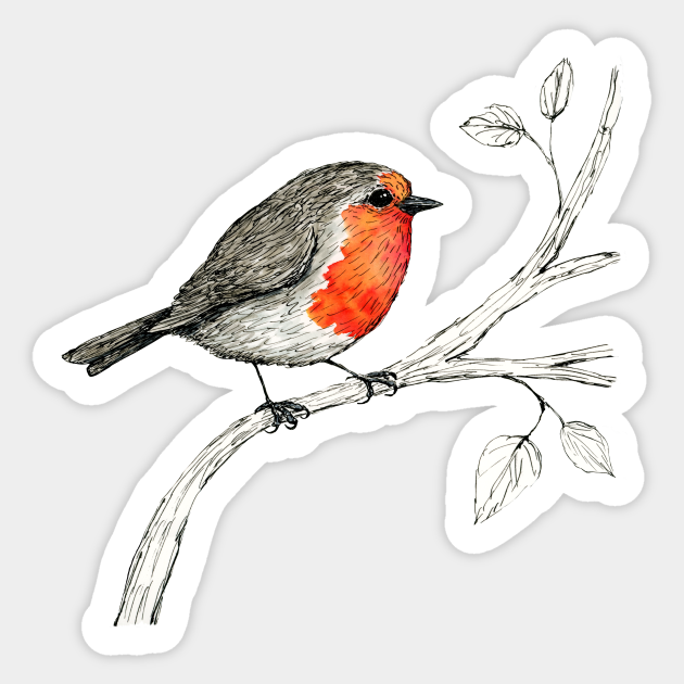 Robin pen and ink with watercolor - Robin - Sticker | TeePublic