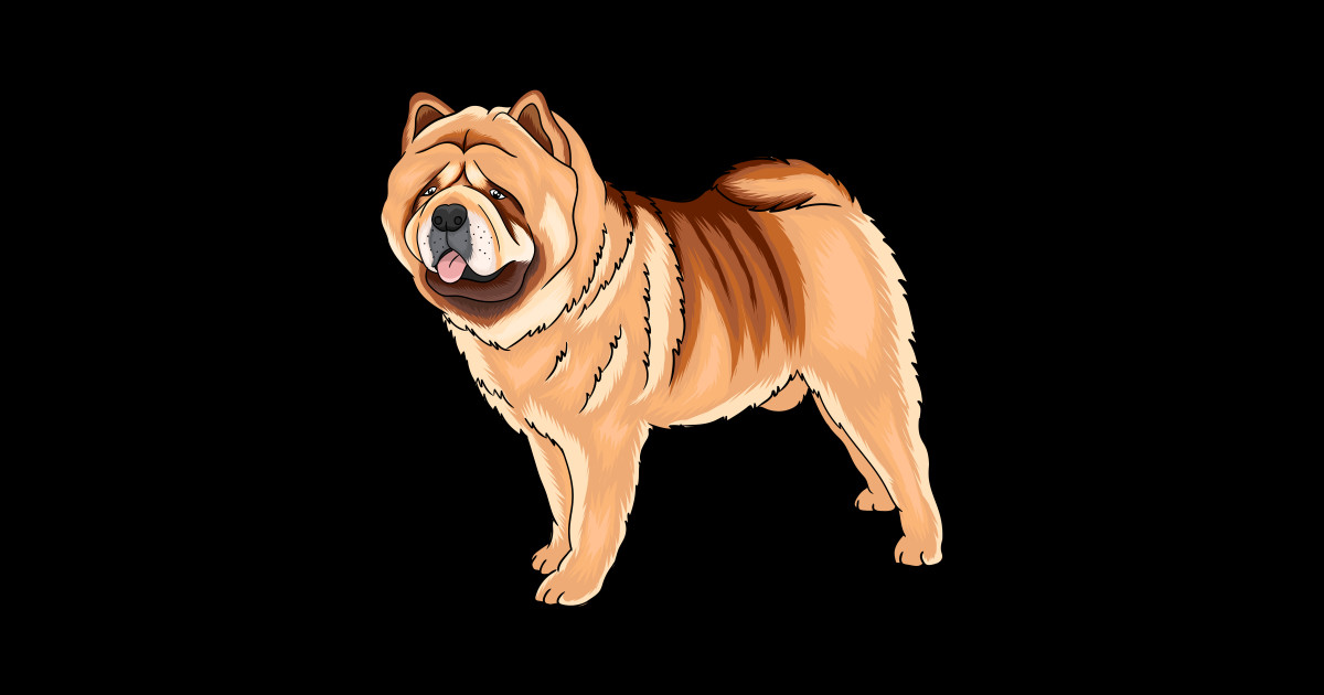 Chow Chow dog cartoon illustration - Chow Chow Dog Cartoon Illustration ...