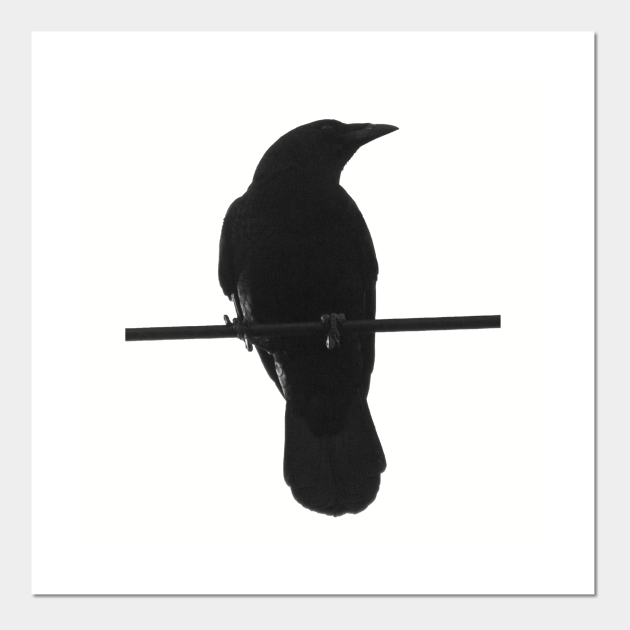 crow on a wire - Crow - Posters and Art Prints | TeePublic