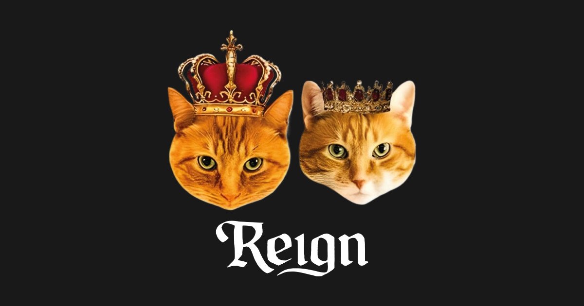 Paul Maurice Reign cats Florida Panthers - Paul Maurice Reign Cats ...