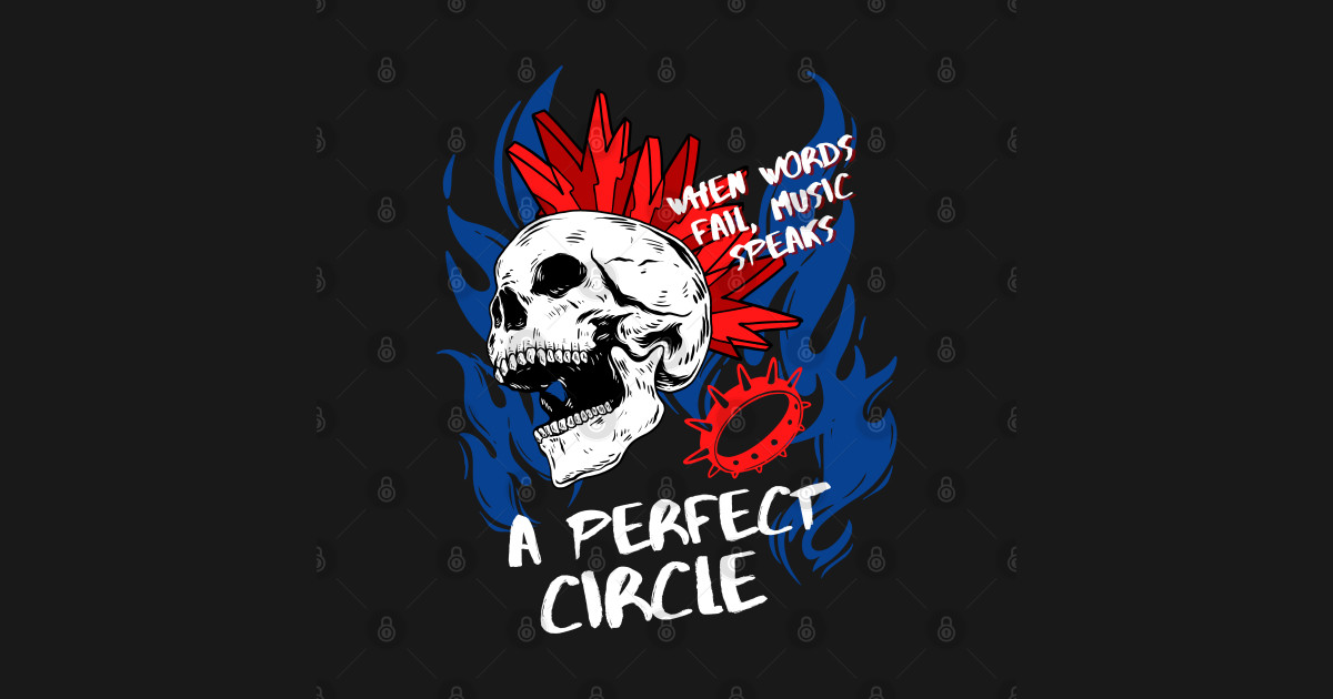 a perfect punk series - A Perfect Circle - T-Shirt | TeePublic