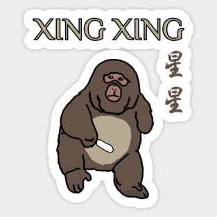 smiling monkey xing xing