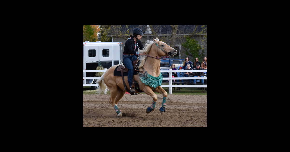 Barrel racing - Barrel Racing - Posters and Art Prints | TeePublic