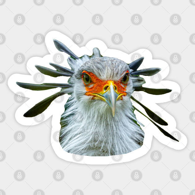 Secretary Bird - Secretary Bird - Sticker | TeePublic