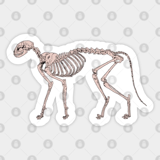 Cat Skeleton Natural - Cats - Sticker | TeePublic