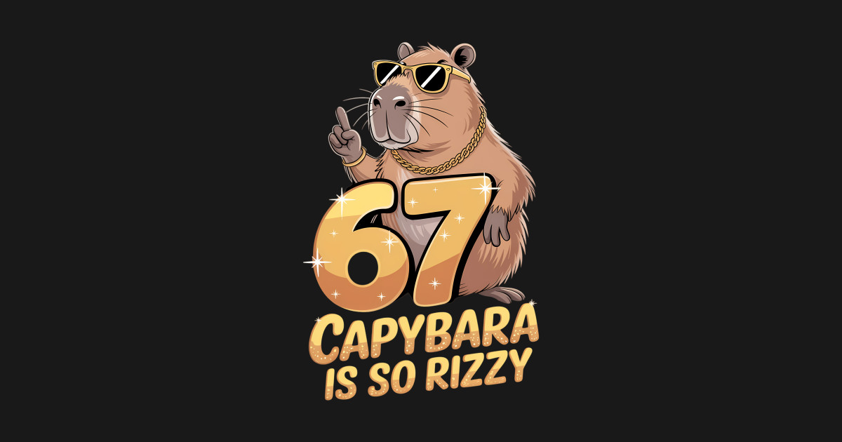 6 7 Capybara Is So Rizzy Capy Meme 67 - Funny Sayings - T-Shirt | TeePublic