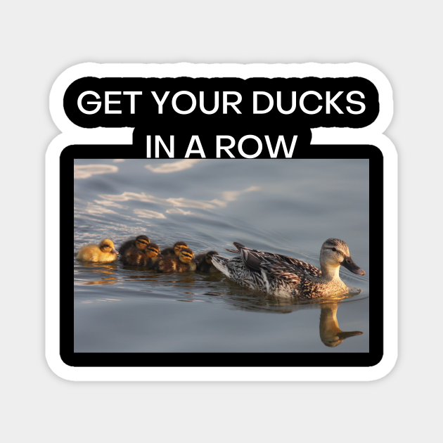 Get Your Ducks in a Row (White font) - Funny - Magnet | TeePublic