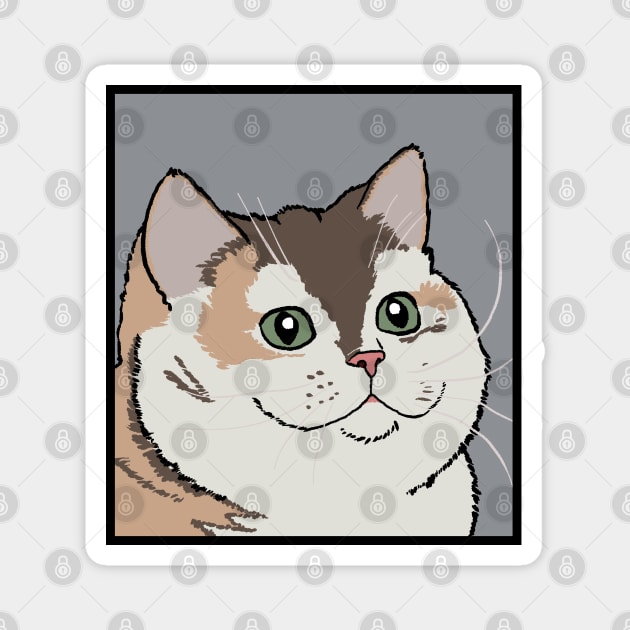 Excited Cat Meme - Heavy Breathing Cat - Magnet | TeePublic