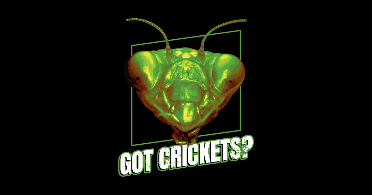 Praying Mantis Got Crickets Funny Insect Quotes - Praying Mantis ...