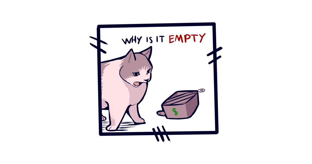 Why it is empty - Cat Memes - T-Shirt | TeePublic