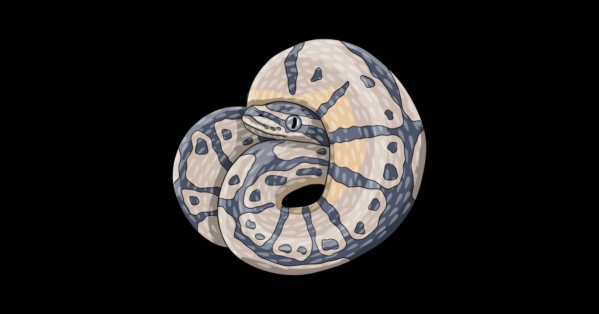 Ball python - Ball - T-Shirt | TeePublic