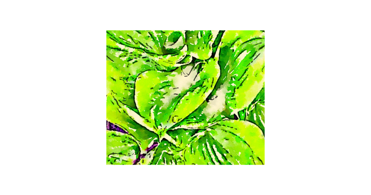 Tropical inspired hosta print - Hosta - T-Shirt | TeePublic