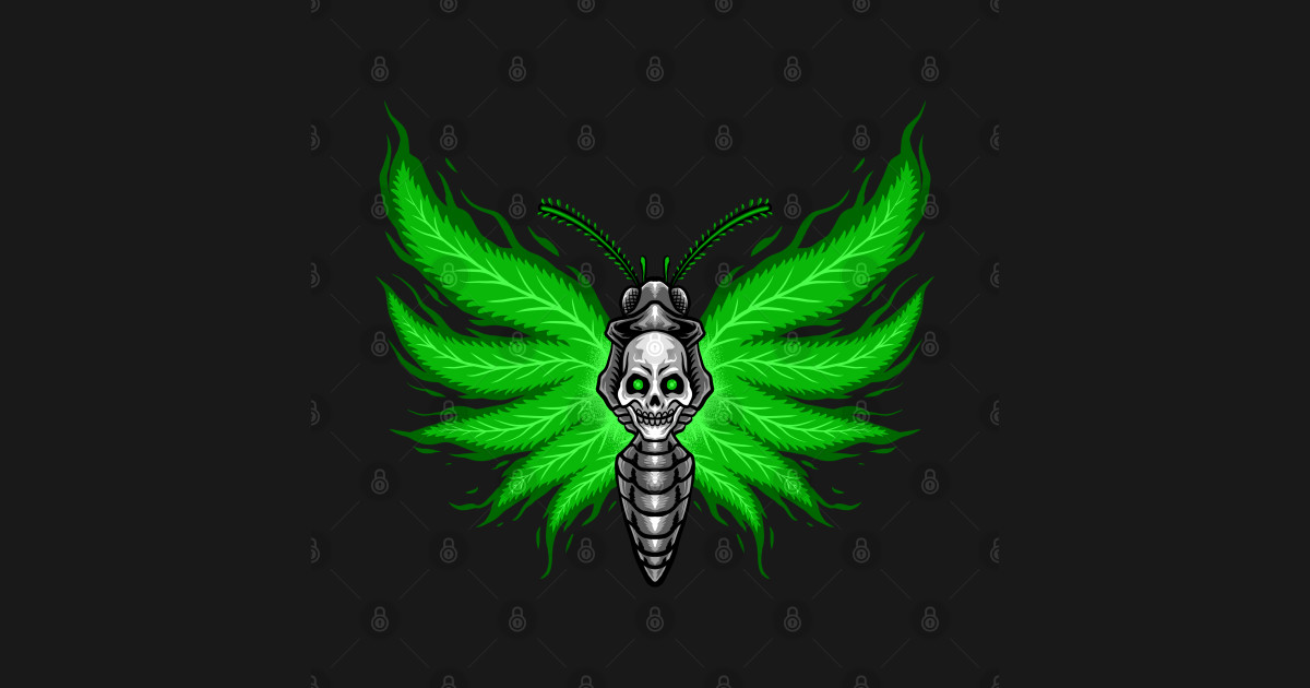 curse moth - Insect Lover - T-Shirt | TeePublic