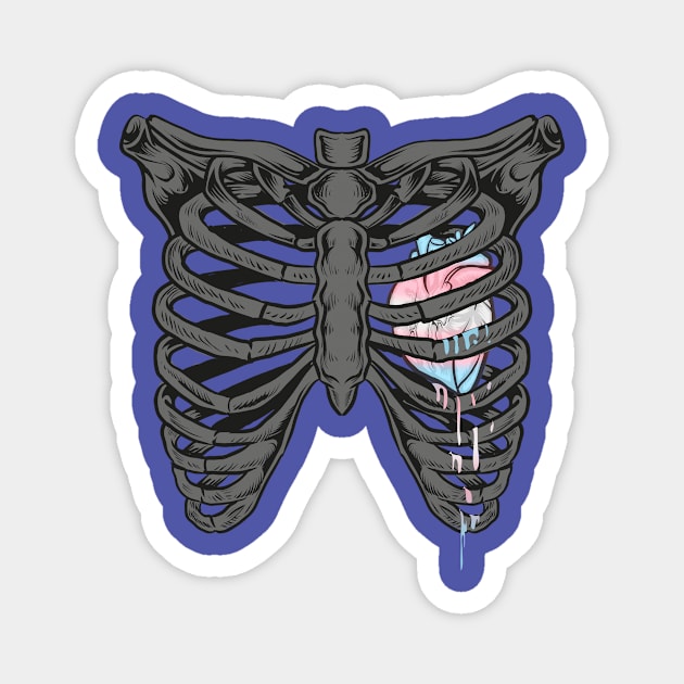 Transgender Rib Cage Heart LGBT Pride Flag - Transgender - Magnet ...