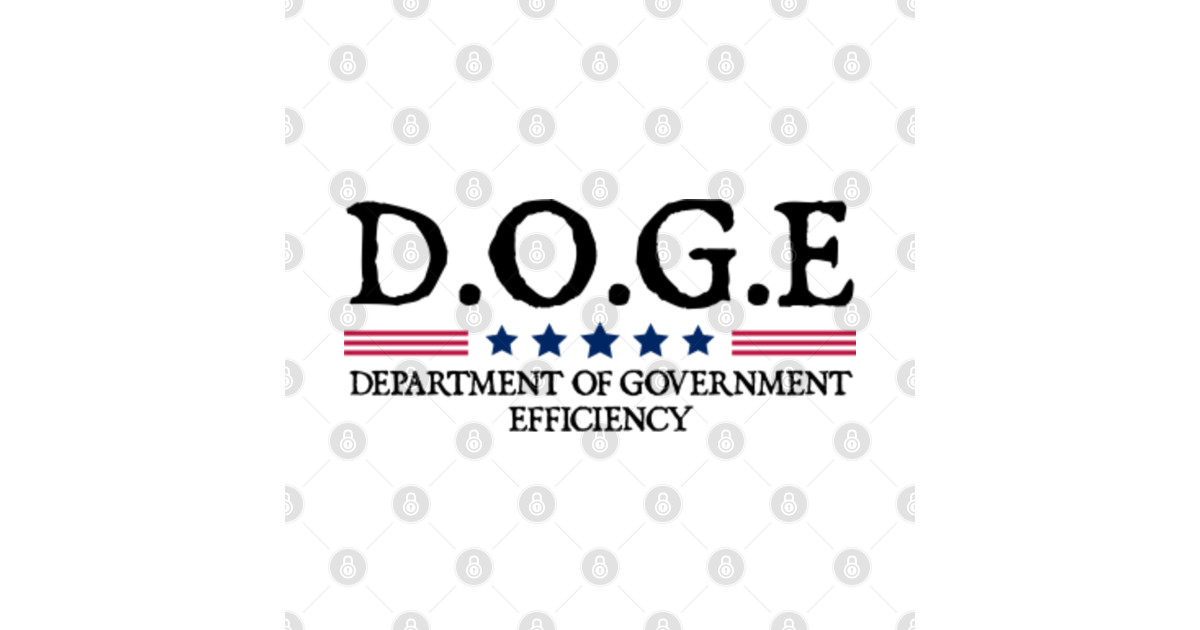 DOGE department of government efficiency - Doge Department Of ...