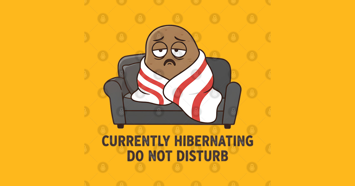 Currently Hibernating – Cozy Couch Potato Do Not Disturb - Couch Potato ...