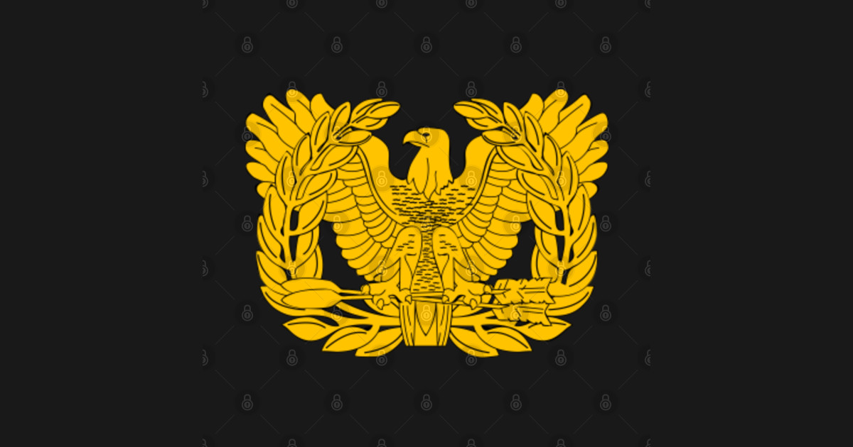 Warrant Officer Insignia - Warrant Officer Insignia - Long Sleeve T ...