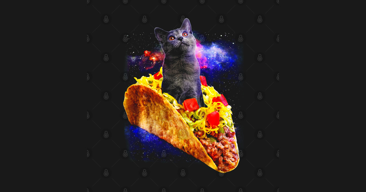 Cat Riding a Taco In Galaxy - Cat Taco - T-Shirt | TeePublic