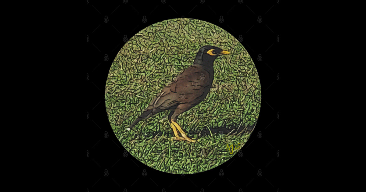 Myna Bird on Grass, photo art - Bird - Sticker | TeePublic