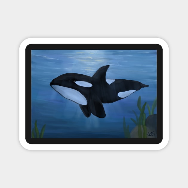 Underwater Orca - Digital Painting - Orca - Magnet | TeePublic