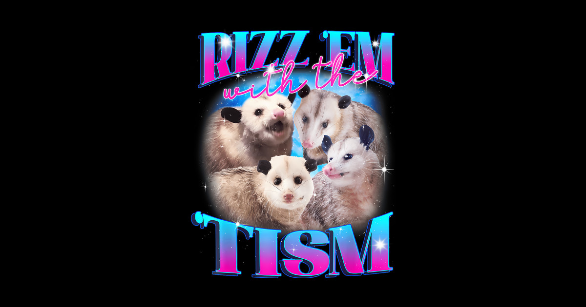 Autism Rizz Em With The Tism Funny Opossum Meme Autistic (2) - Rizz Em ...