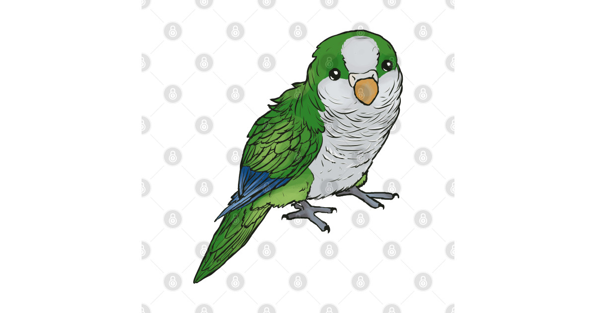 Light green quaker - Quaker Parrot - T-Shirt | TeePublic