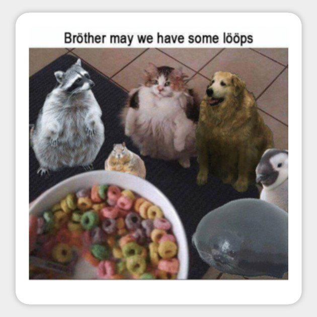 Brother May We have Some Loops - Loops Brother Cat Meme - Sticker ...