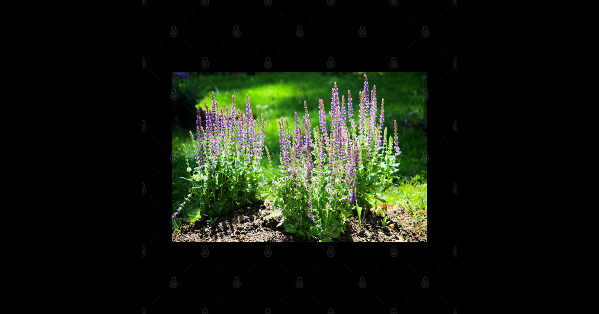 Sage flowers - Sage - Sticker | TeePublic